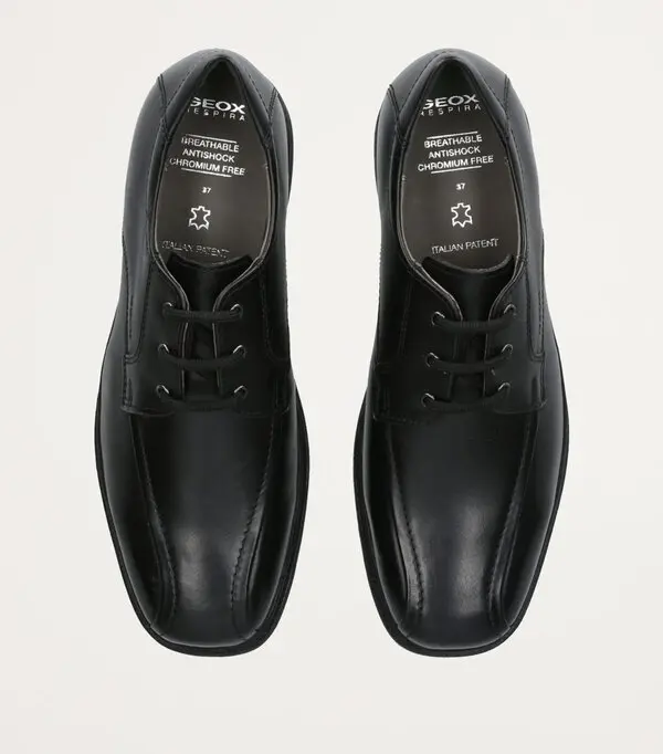 Geox Leather Federico Shoes