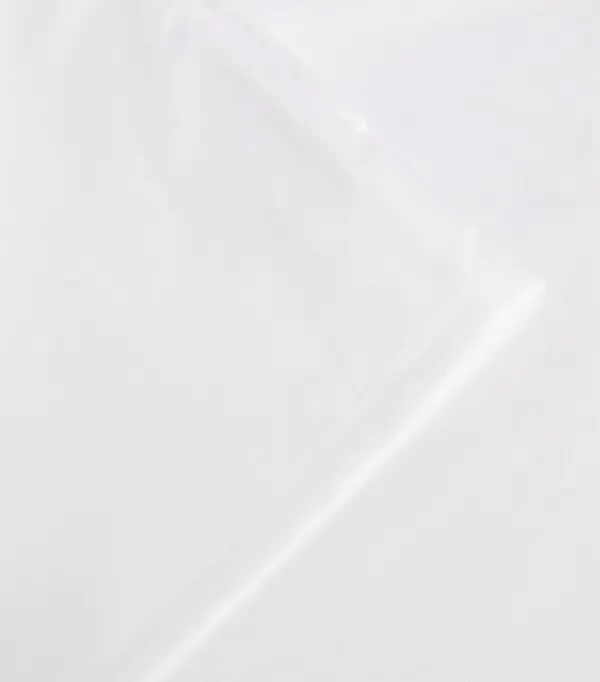 Harrods Dust Mite Pillowcase Protector Pair