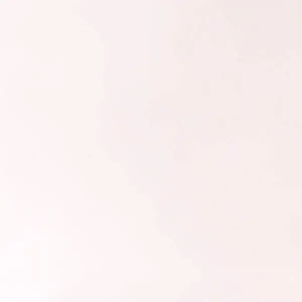 CELSO DE LEMOS Hella King Oxford Pillowcase - Neutral