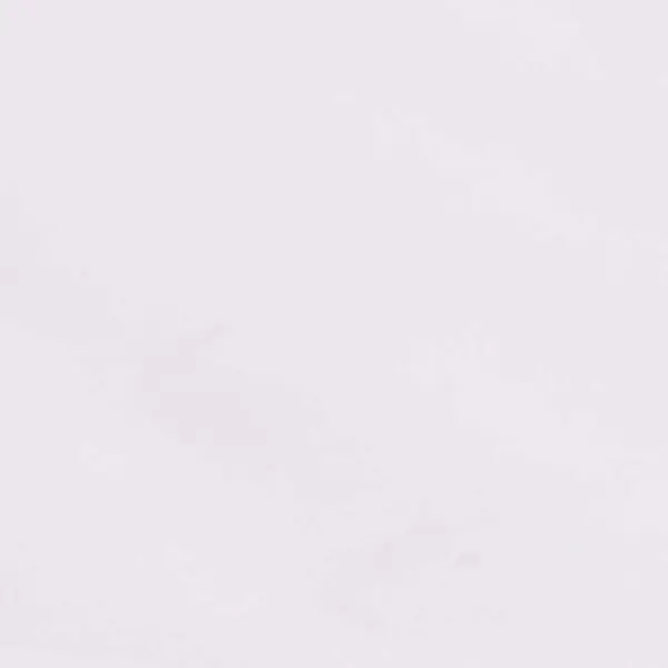 CELSO DE LEMOS Estrela Super King Flat Sheet - White