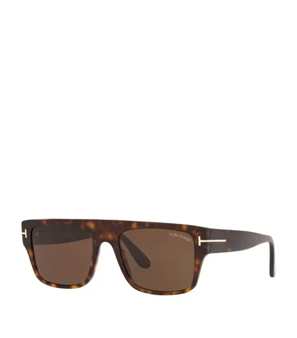 TOM FORD Tortoiseshell Wayfarer Sunglasses - Brown