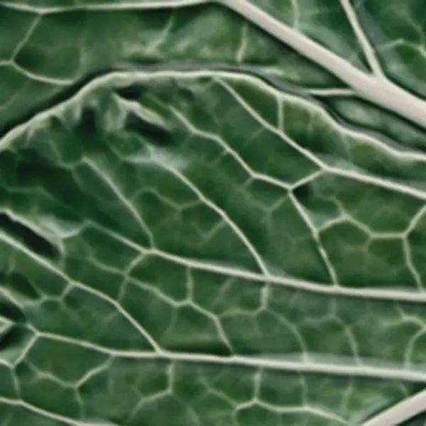 BORDALLO PINHEIRO Cabbage Platter