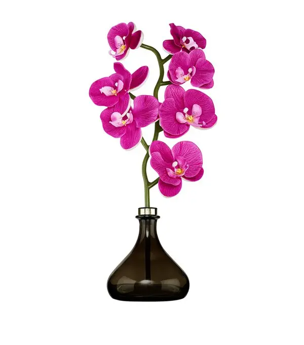 SENTI The Little Orchid White Flowers Diffuser - Black