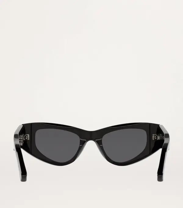 Balenciaga Acetate Sunglasses