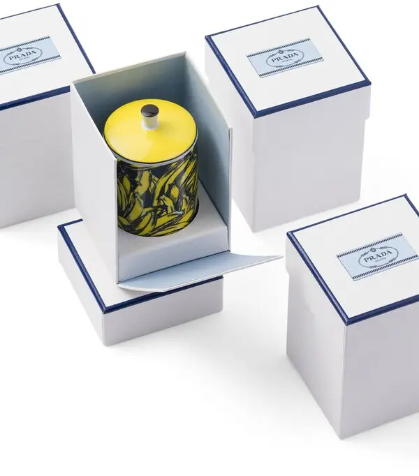 Prada Porcelain Seringàt Candle