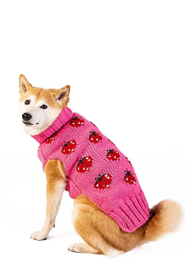 CHILLY DOG Strawberry Dog Sweater