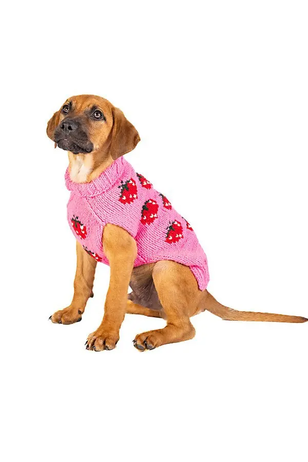 CHILLY DOG Strawberry Dog Sweater