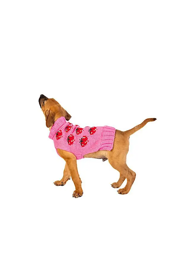 CHILLY DOG Strawberry Dog Sweater