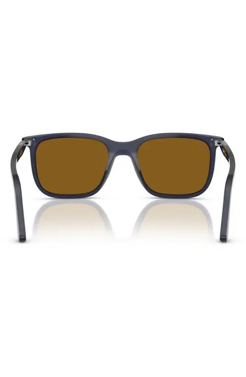 Persol 53mm Rectangular Sunglasses - Blue Brown