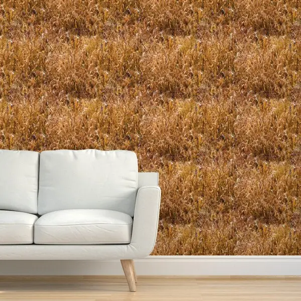 Spoonflower Grass Field Expanse Wheat Gold Traditional Wallpaper