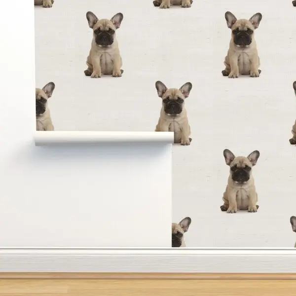 Spoonflower Frenchie 100% Natural Sisal Grasscloth Wallcovering