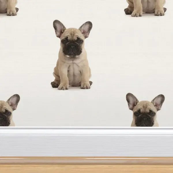 Spoonflower Frenchie 100% Natural Sisal Grasscloth Wallcovering