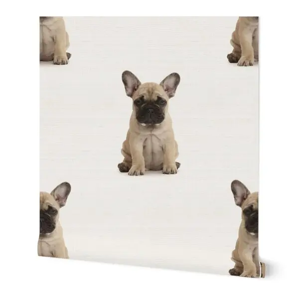 Spoonflower Frenchie 100% Natural Sisal Grasscloth Wallcovering