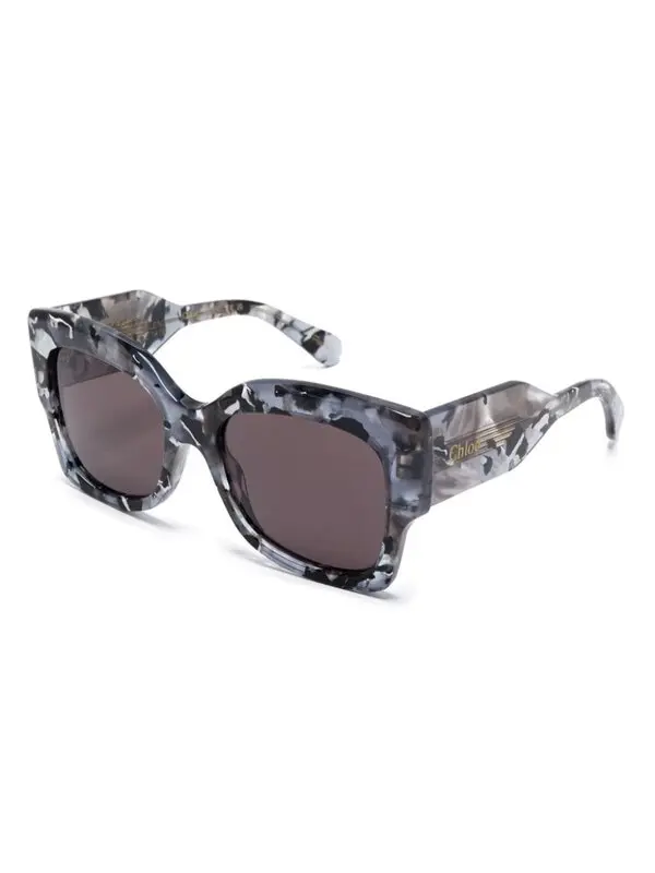 Chloé Ch0252s Sunglasses