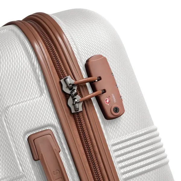 DELSEY PARIS Flanerie Carry-on And Large Spinner Set