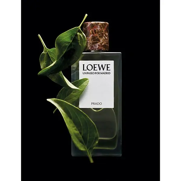 Loewe Un Paseo Por Madrid Prado Edp