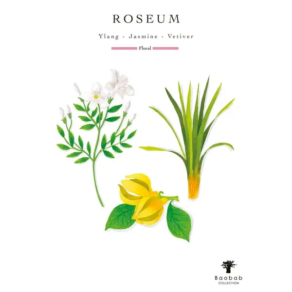 BAOBAB COLLECTION Totem Roseum Luxury Medium Bottle Diffuser, 67.6 Oz