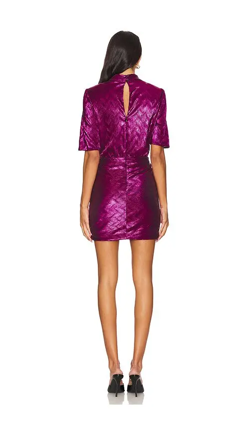 Saylor Axelle Mini Dress