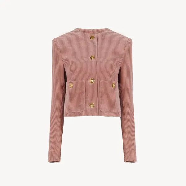 Chloé Cropped Boxy Jacket In Velvet