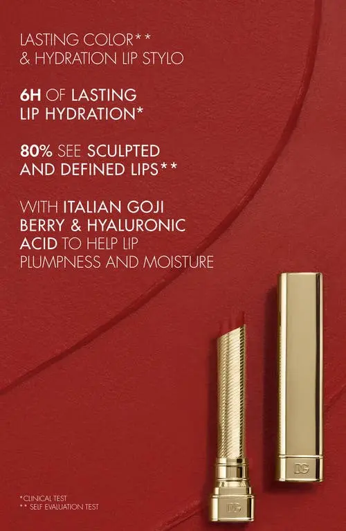 Dolce & Gabbana My Sculpt Satin Lip Stylo - 3.07