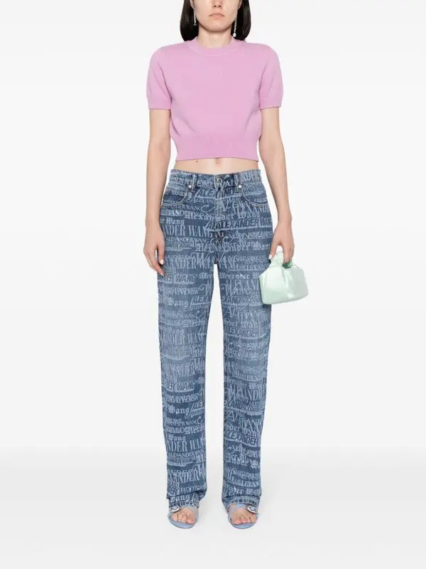 Alexander Wang Cropped Sweater