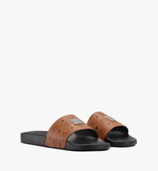 Mcm Visetos Slides