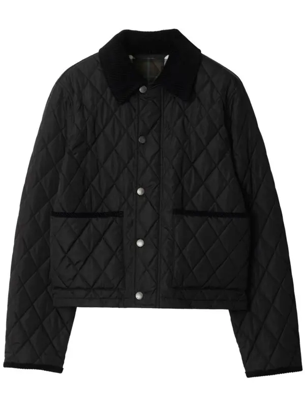 Burberry Witney Jacket