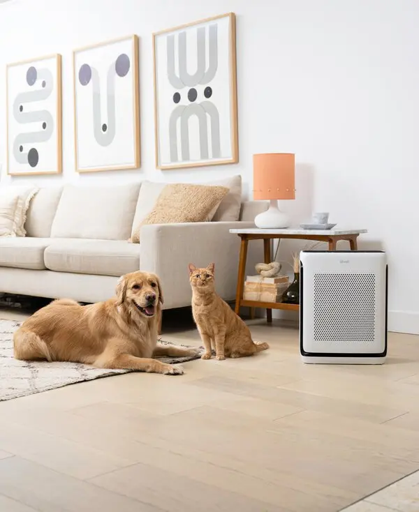 LEVOIT Vital 200s-p Smart Air Purifier