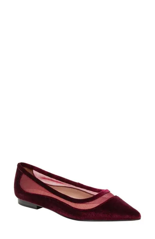 Linea Paolo Novah Pointed Toe Flat - Burgundy