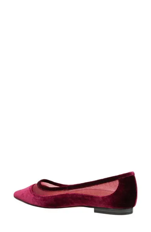 Linea Paolo Novah Pointed Toe Flat - Burgundy