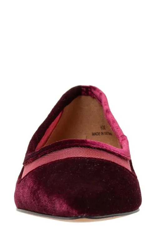 Linea Paolo Novah Pointed Toe Flat - Burgundy