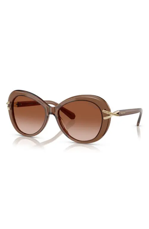SWAROVSKI 56mm Butterfly Sunglasses - Transparent Brown