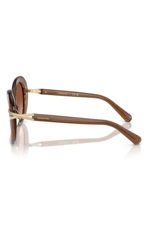 SWAROVSKI 56mm Butterfly Sunglasses - Transparent Brown