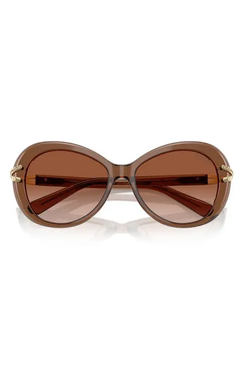 SWAROVSKI 56mm Butterfly Sunglasses - Transparent Brown