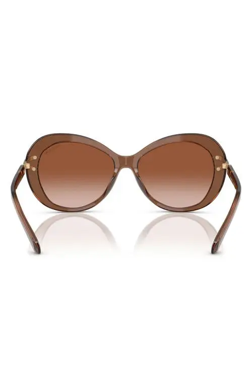 SWAROVSKI 56mm Butterfly Sunglasses - Transparent Brown