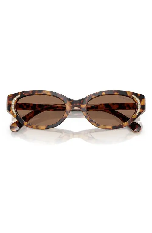 SWAROVSKI 53mm Round Frame Sunglasses - Brown Havana
