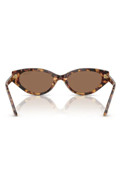 SWAROVSKI 53mm Round Frame Sunglasses - Brown Havana