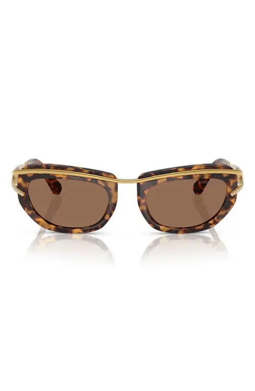 SWAROVSKI 52mm Pillow Sunglasses - Lite Havana