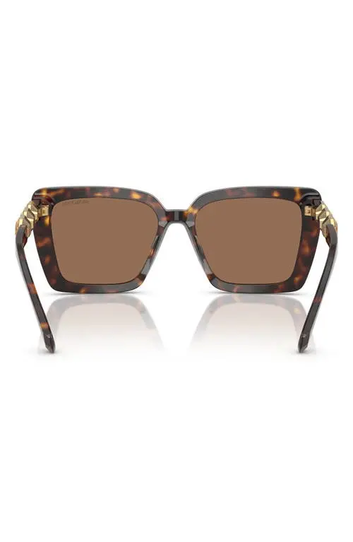 SWAROVSKI 55mm Square Sunglasses - Havana