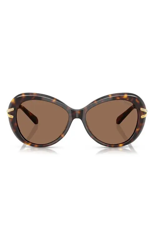 SWAROVSKI 56mm Butterfly Sunglasses - Havana