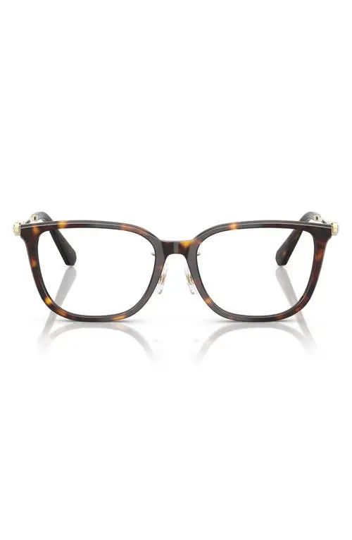 SWAROVSKI 54mm Pillow Optical Glasses - Havana