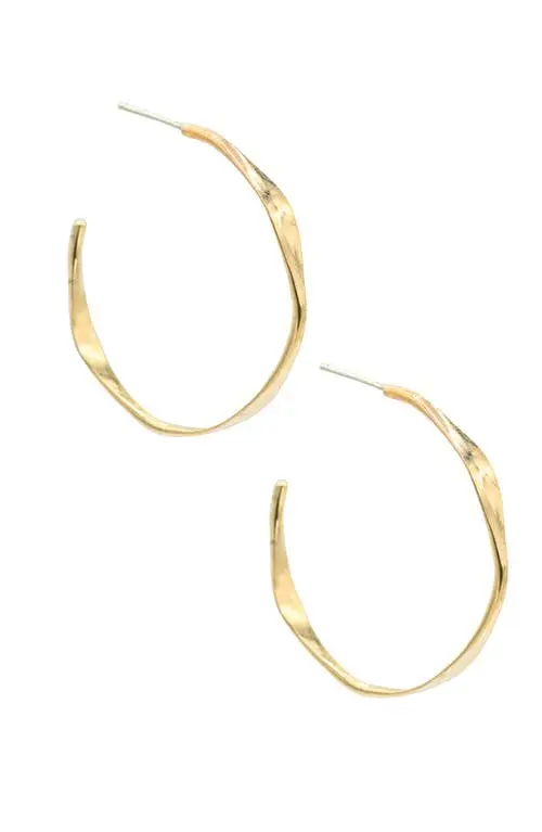 ALBISIA Scallop Hoop Earrings - 14k Gold Filled