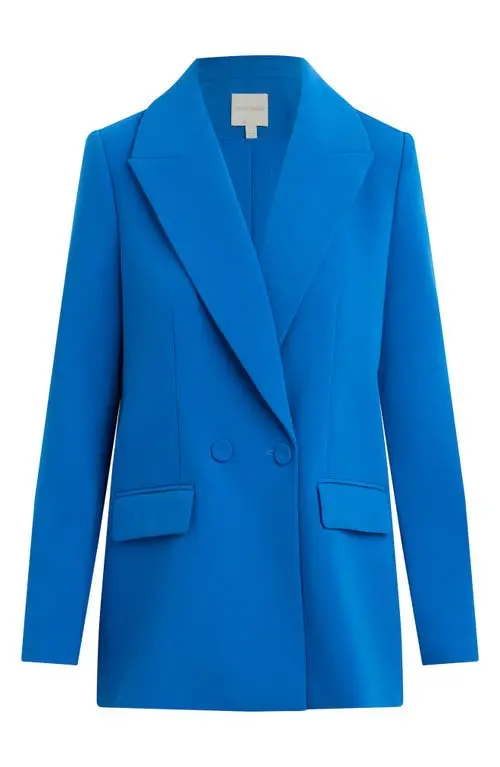FAVORITE DAUGHTER The Suits You Blazer