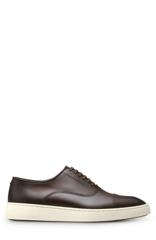 Allen Edmonds Park 2.0 Sneaker - Espresso