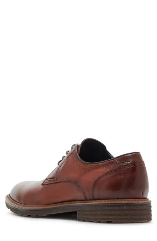 Steve Madden Aeden Derby
