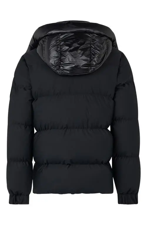 Moose Knuckles Suthep Gold Series 800 Fill Power Down Jacket