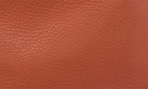 Hobo Vance Leather Crossbody Bag