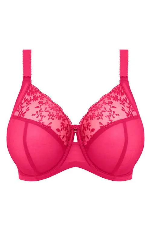Elomi Zarla Full Figure Underwire Bra - Love Potion