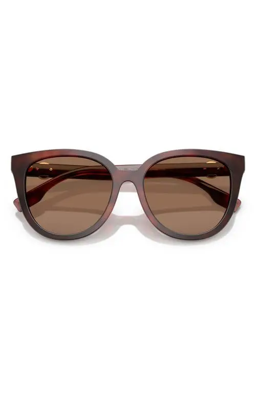 Tory Burch 56mm Phantos Sunglasses - Dark Brown