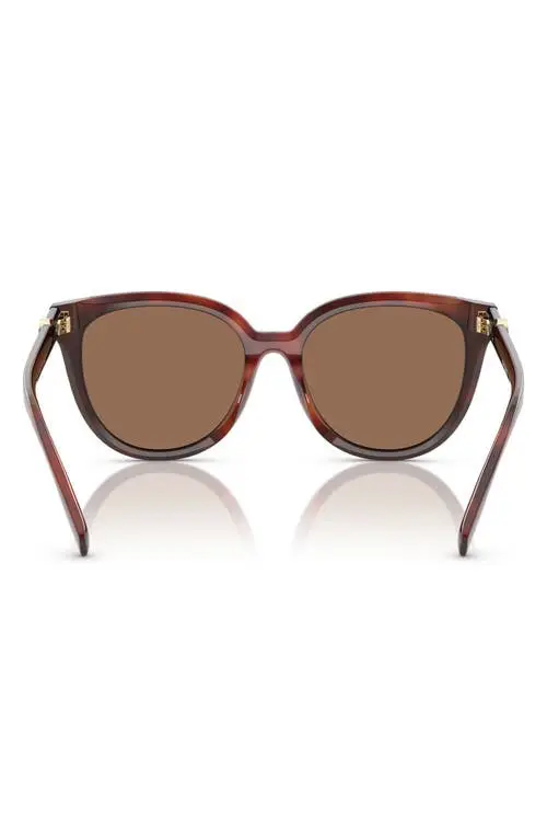 Tory Burch 56mm Phantos Sunglasses - Dark Brown